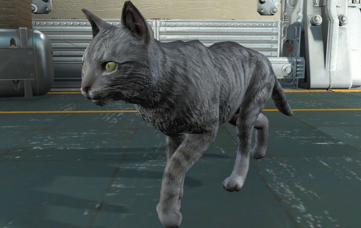 Cat-loving modder overhauls Fallout 4's slow, stupid felines | PC Gamer