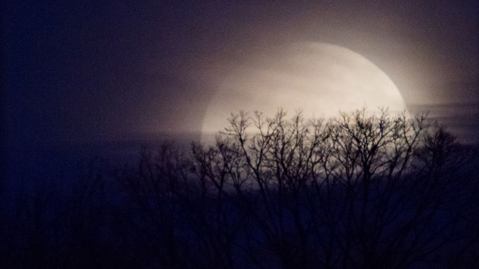 Rare full moon on Halloween will be seen across the US for the first ...