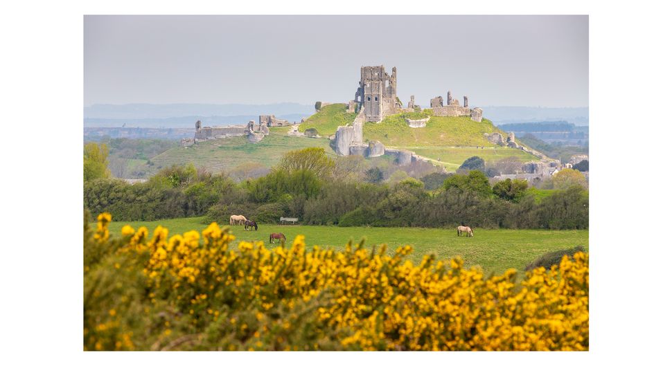 Switch lenses and get a new perspective on landscape photography ...