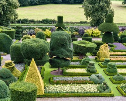 5 topiary trend lessons to take from gorgeous botanical gardens ...