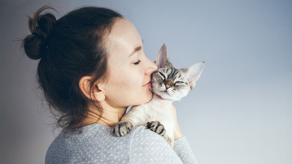 32 facts about Devon Rex cats | PetsRadar