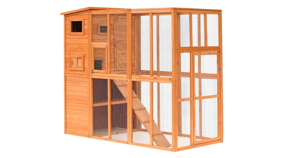Best outdoor cat enclosures 2024: Let your feline explore nature safely ...