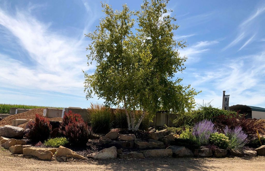 Good Spots For Berms – Learn About Berm Placement In Your Landscape ...