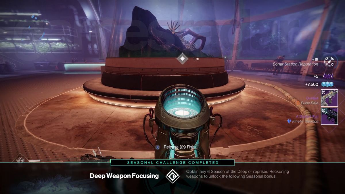 Destiny 2 fishing guide, Bait farm, and Focused Fishing | GamesRadar+