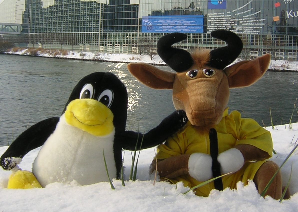 8 Things You Need To Know Before Switching To Linux | PC Gamer