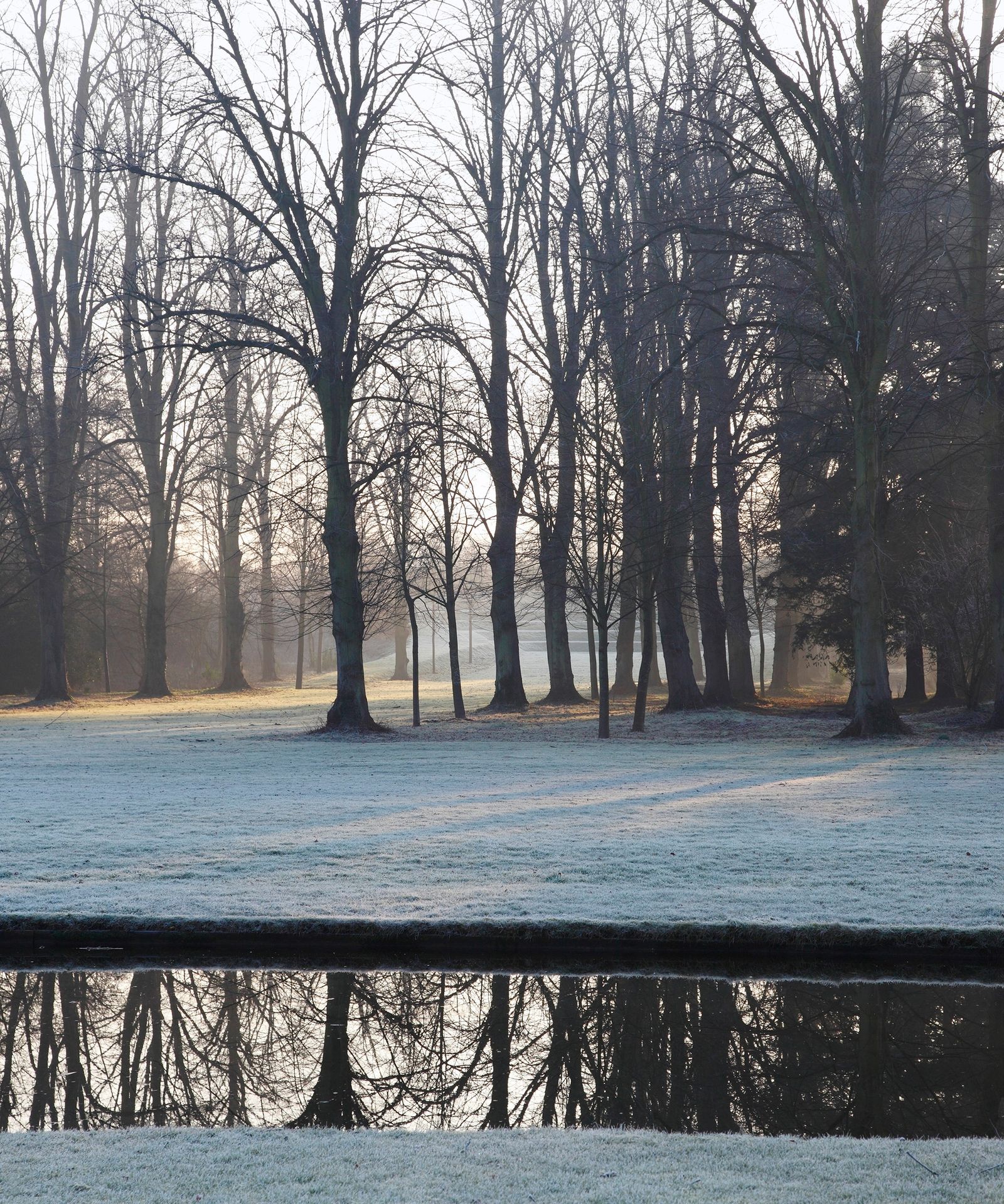 This is the Date of the Last Frost in Every US Region | Homes and Gardens