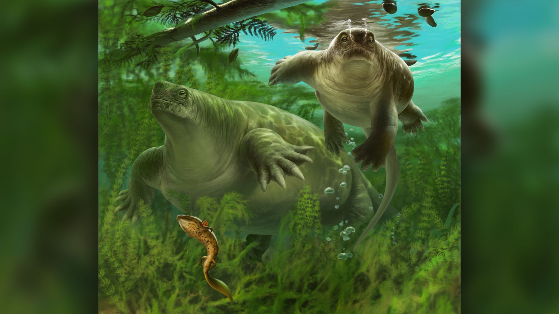 Mammal ancestor looked like a chubby lizard with a tiny head and had a ...
