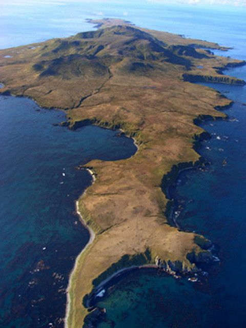 Gallery: A View of Rat Island | Live Science