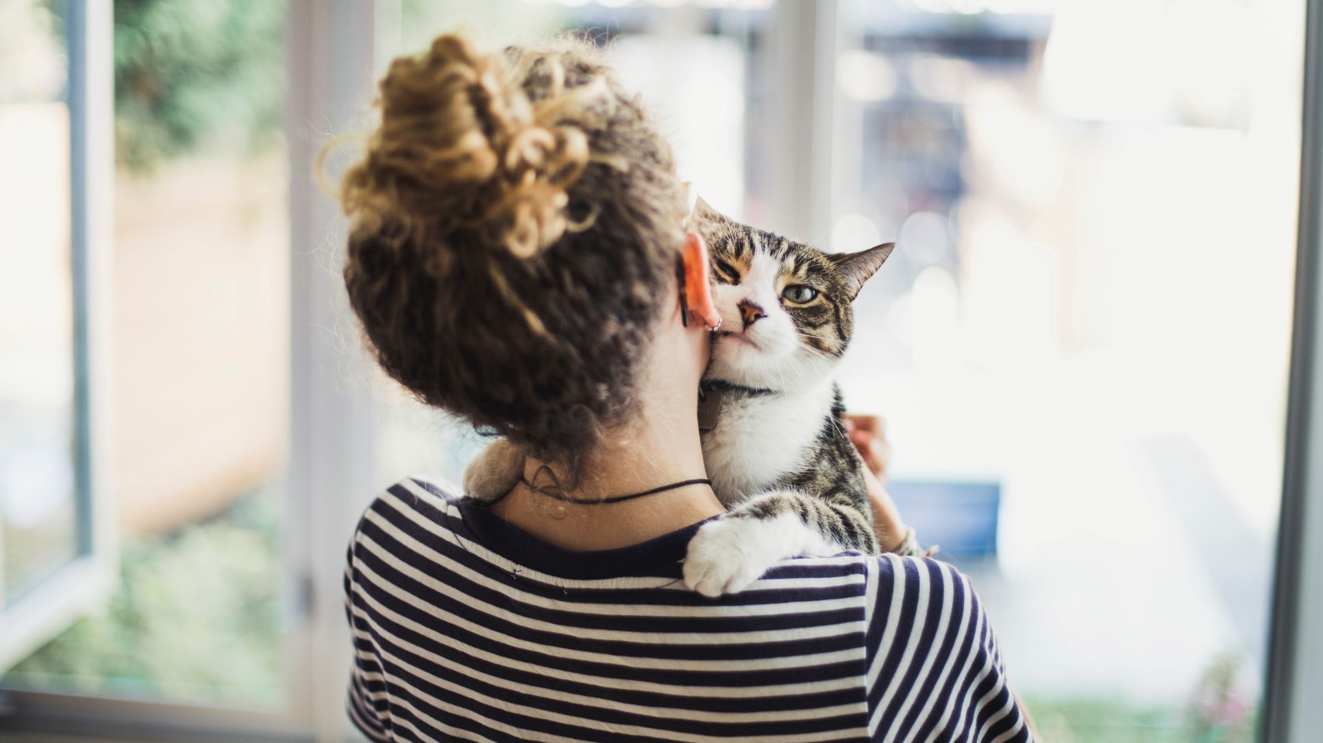 Here are the top three mistakes cat parents make, according to one ...