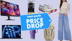5 ultimate dorm room gadgets our editors wish they had back in college ...
