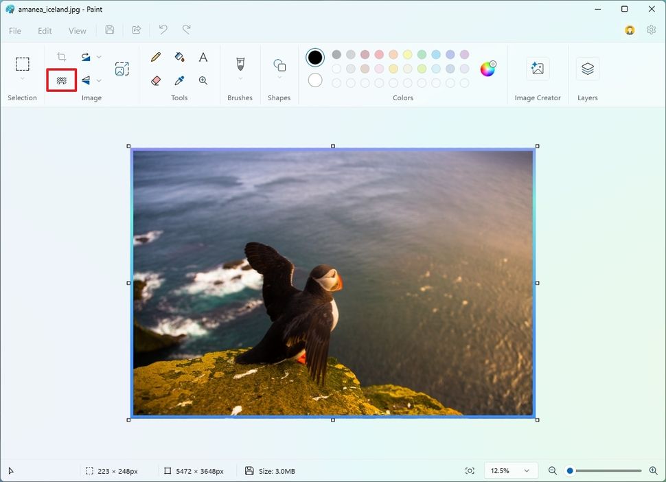 How to use the Microsoft Paint app to perform advanced image editing ...