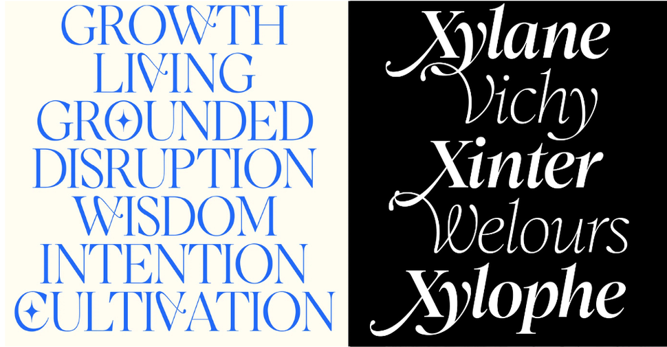 The hottest typography trends to watch in 2025 | Creative Bloq