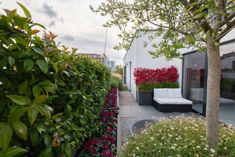 Side garden ideas: 11 ways to transform the small space alongside your ...