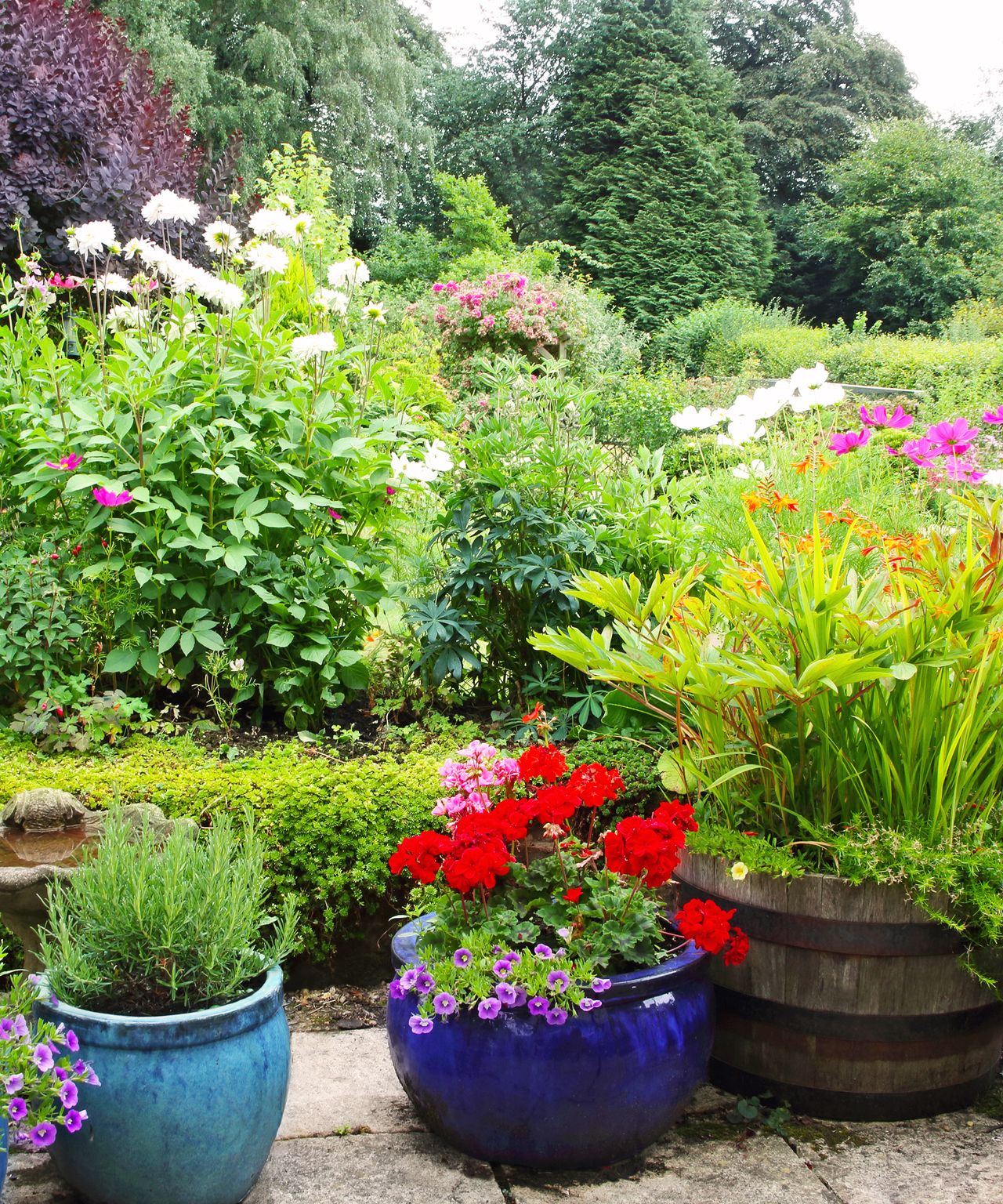 How The “Unexpected Red” Theory Can Enrich Your Garden Design ...