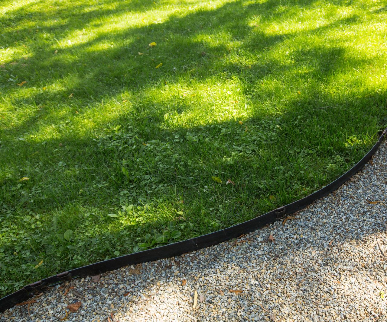 How to get grass to grow under trees: Expert tips | Homes and Gardens