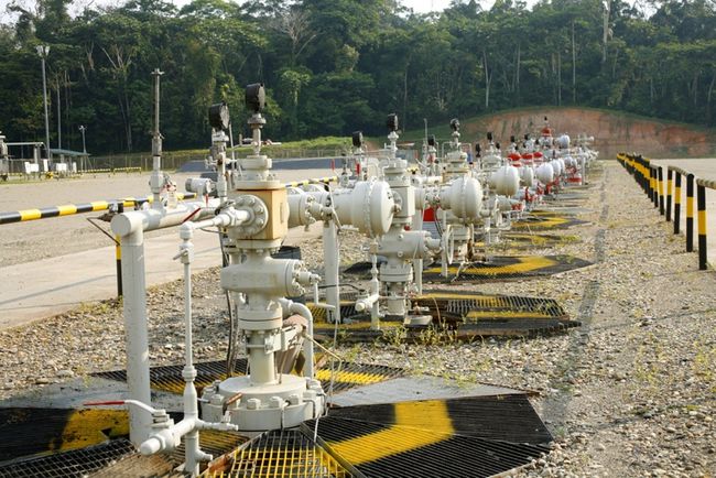 Oil Drilling Contaminated Western Amazon Rainforest, Study Confirms ...