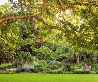 Tour the Buckingham Palace gardens: and discover its secrets | Homes ...