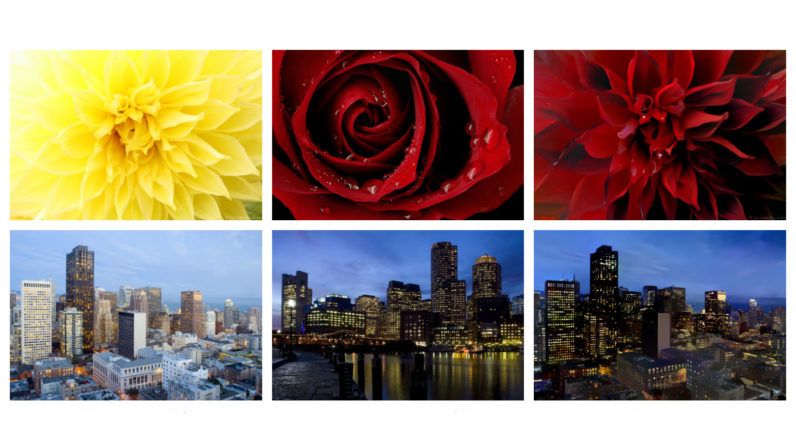 The future of Photoshop revealed! | Creative Bloq