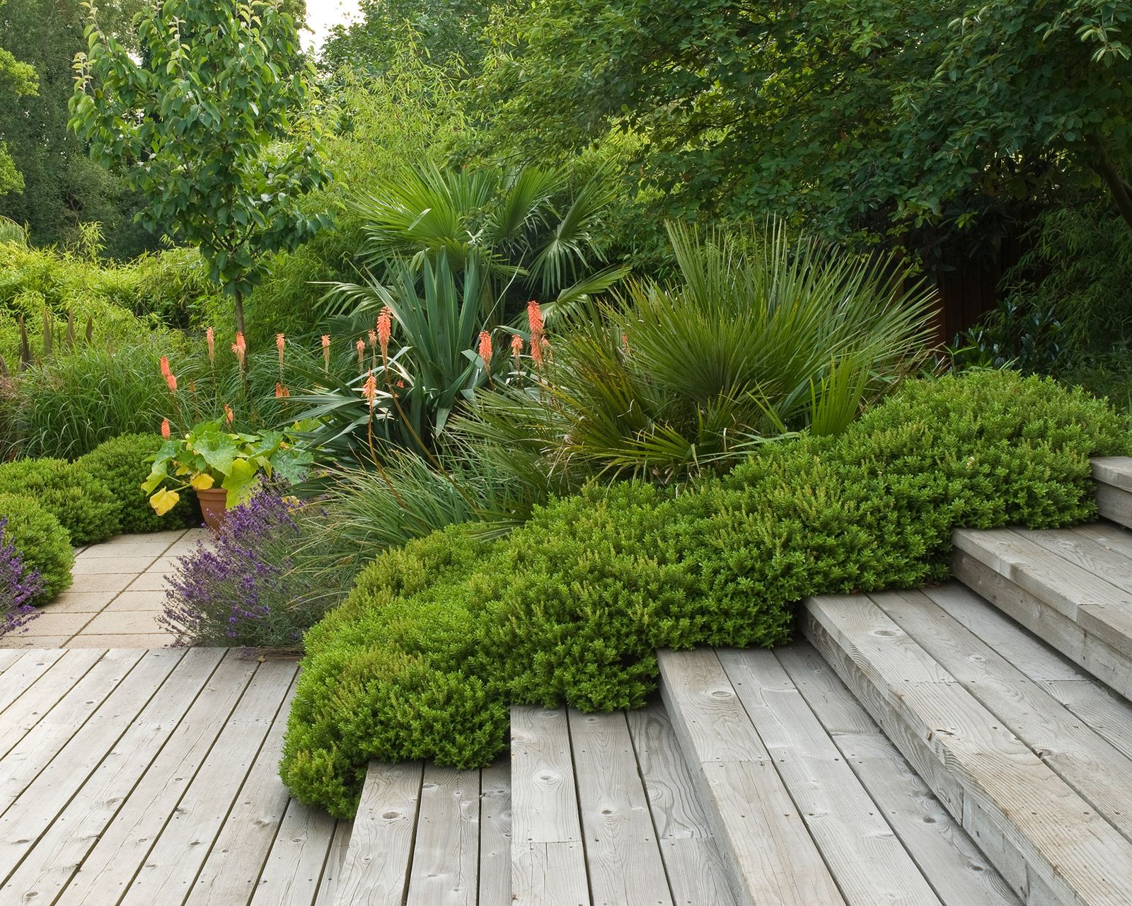 Small deck ideas: 15 designs for tiny spaces | Homes and Gardens