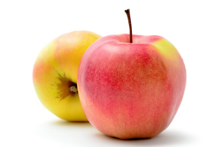 Jonagold Uses: Learn About Growing A Jonagold Apple Tree | Gardening ...