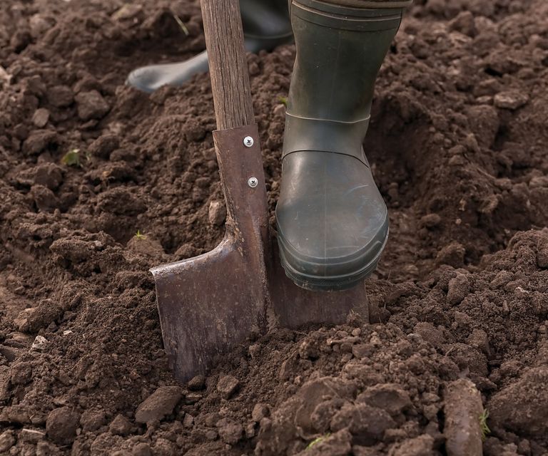 How to turn over soil: a step-by-step expert guide | Homes and Gardens
