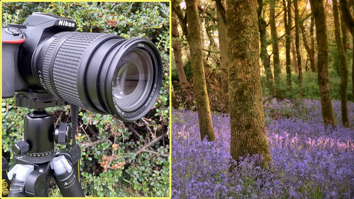 Mistakes to avoid on a photo walk this weekend, and tips to remember ...