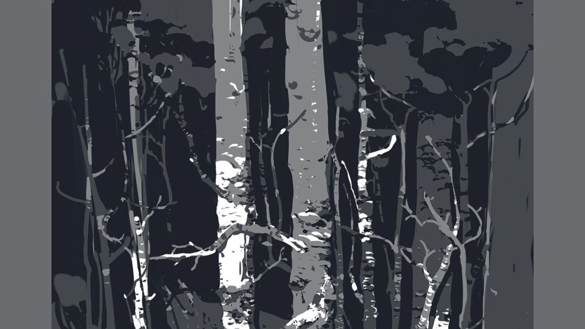 Use a famous optical illusion technique to create art in Procreate ...