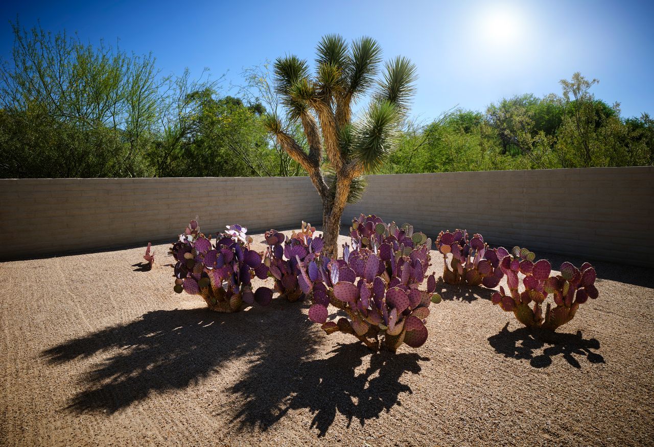 Discover Scott Pask’s Arizona retreat | Wallpaper*
