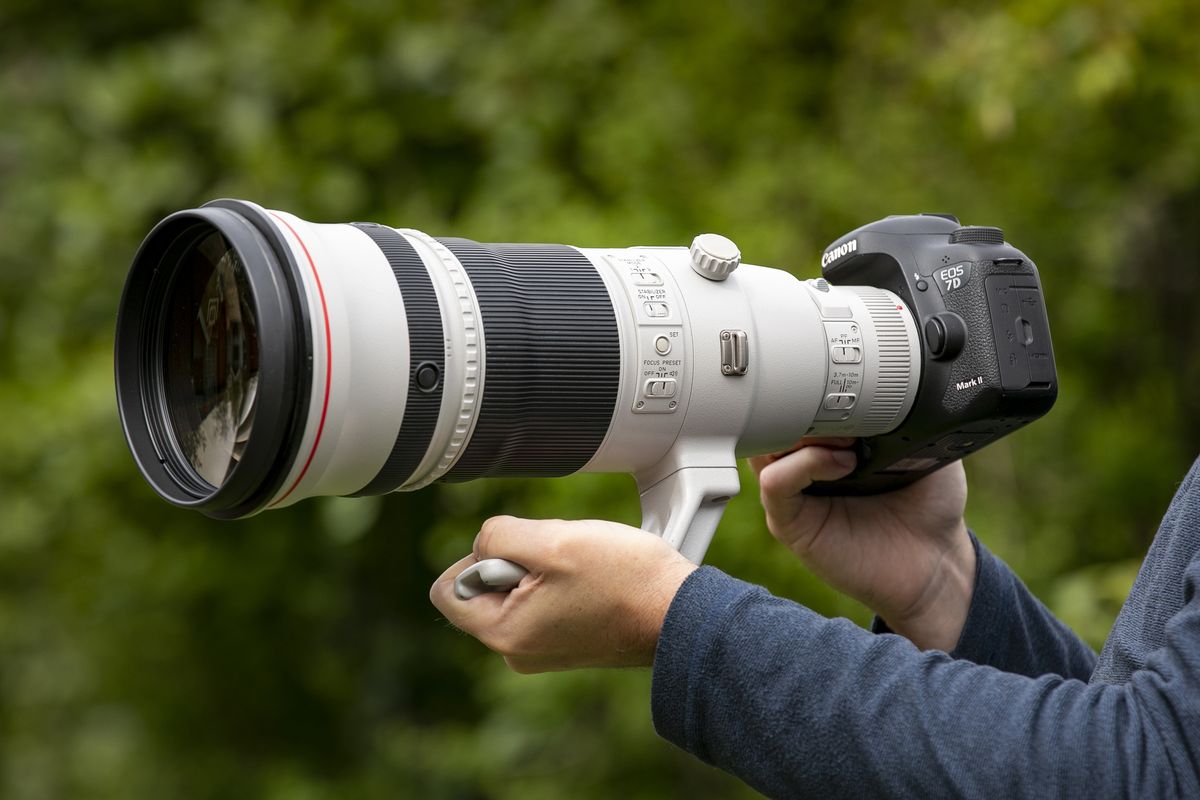 How to use a 500mm lens to photograph wary wildlife | Digital Camera World