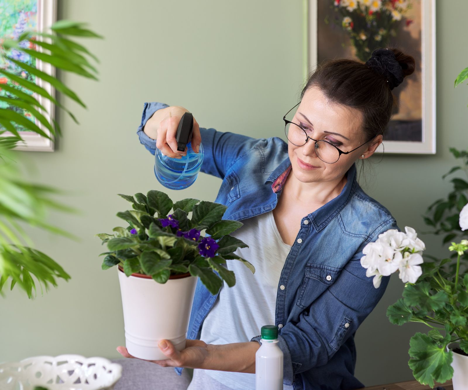 African violets care guide: 5 expert tips for bright blooms | Homes and ...