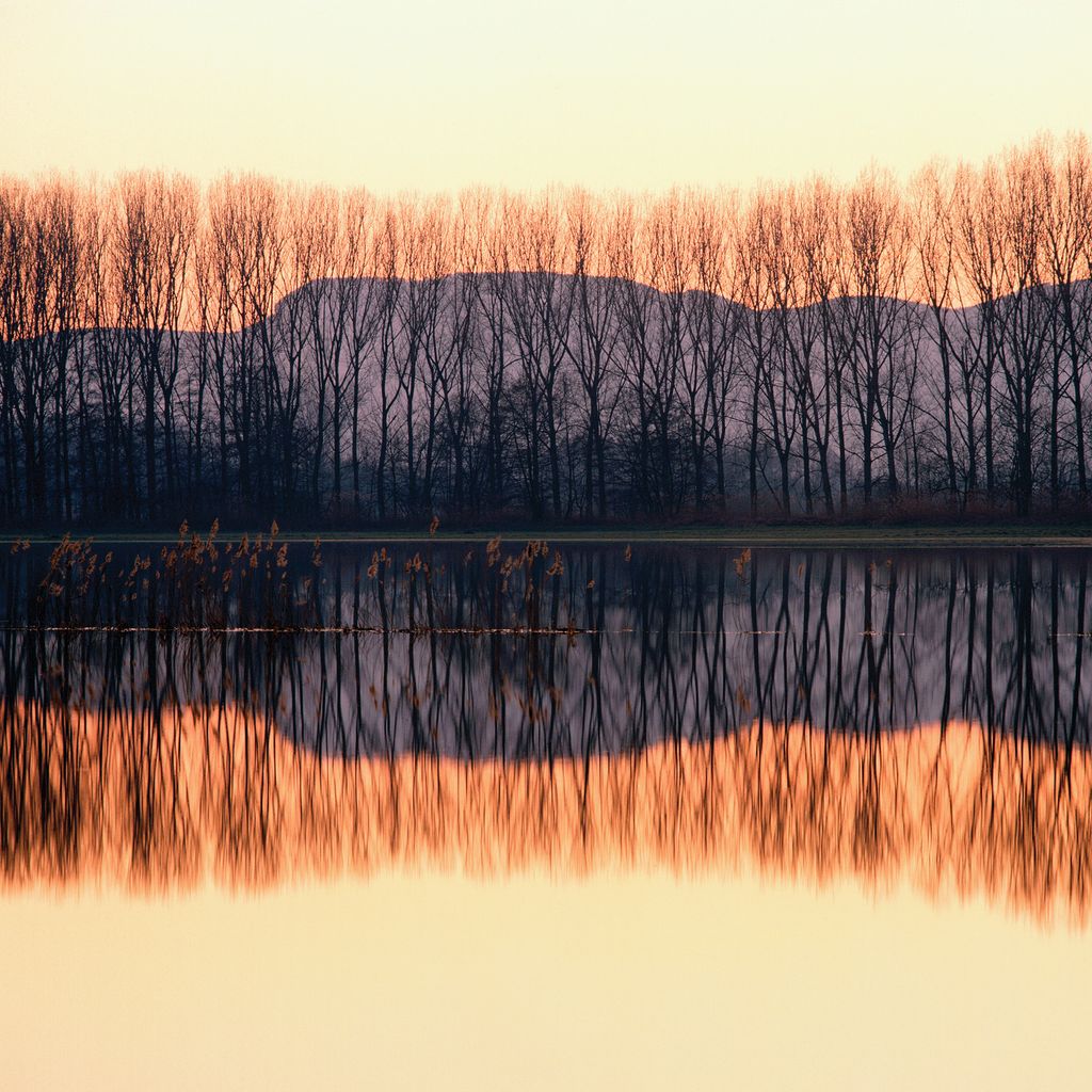 Inside Charlie Waite's studio | TechRadar