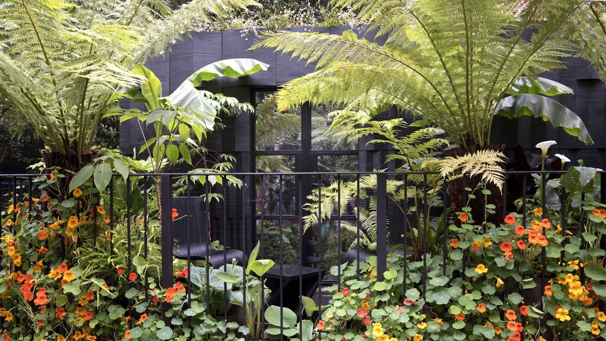 How to create an urban oasis in a city courtyard: expert advice | Homes and Gardens