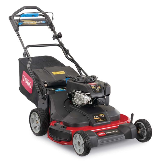 Best gas lawn mowers: for power, performance, and durability | Top Ten ...