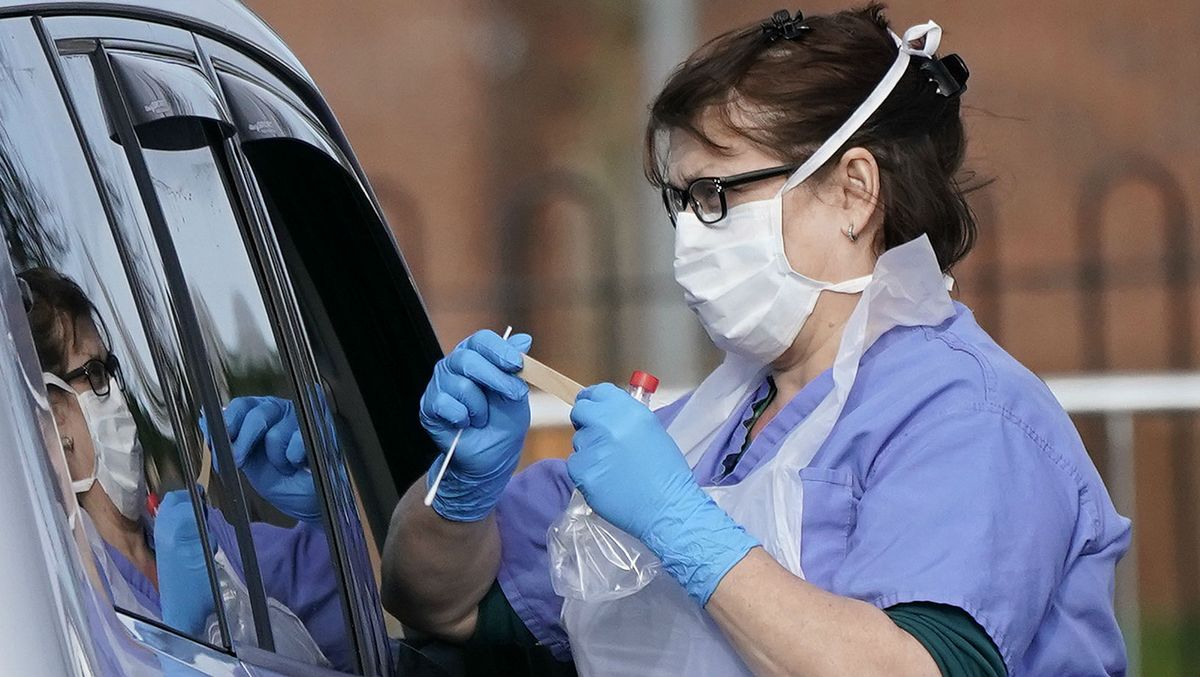 Immunity tests: how do they work and when will they be ready? | The Week