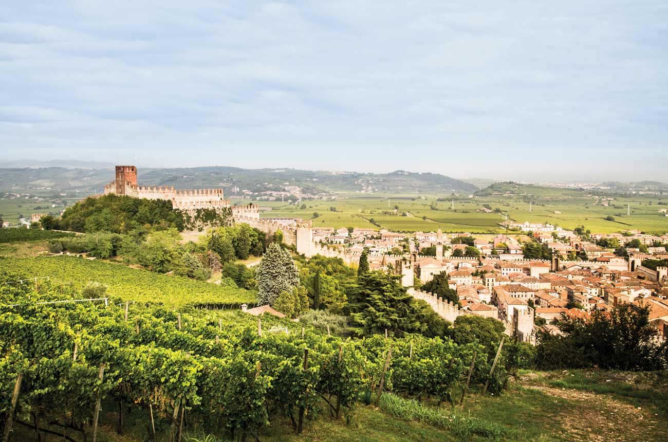 Soave revolution: The producers and wines to know about | Decanter