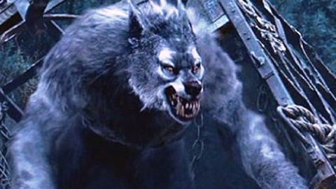 10 Movies And Shows About Werewolves To Watch Streaming | Cinemablend
