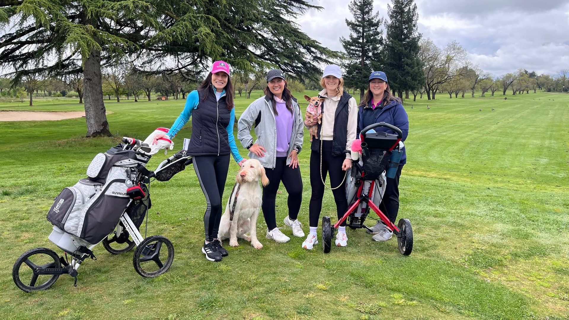 Should Dogs Be Allowed On Golf Courses? It's A Debate That Divides ...