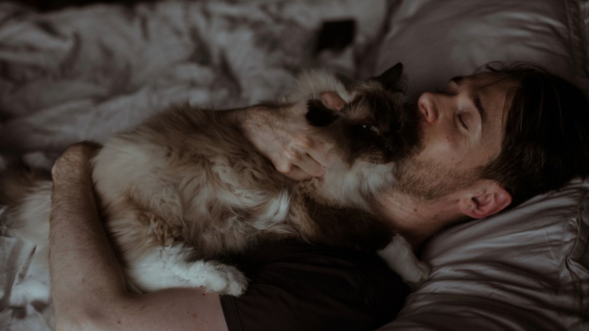 Why does my cat sleep by my head? 10 heart-warming reasons | PetsRadar