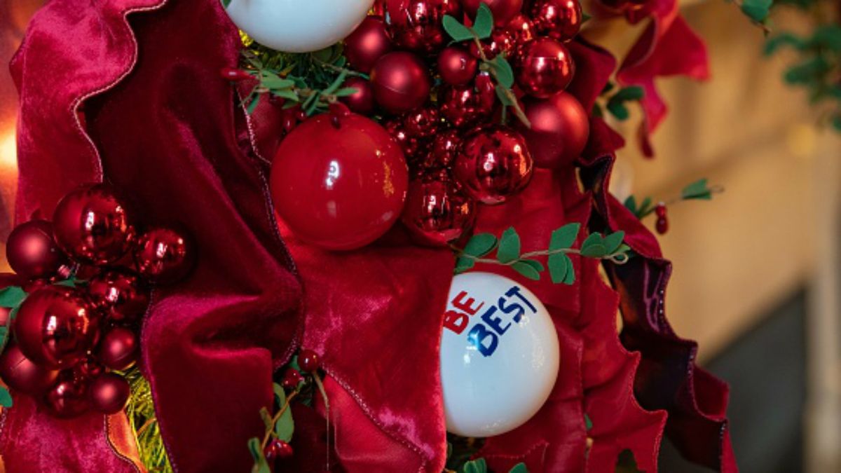 Family find venomous snake in Christmas tree | The Week