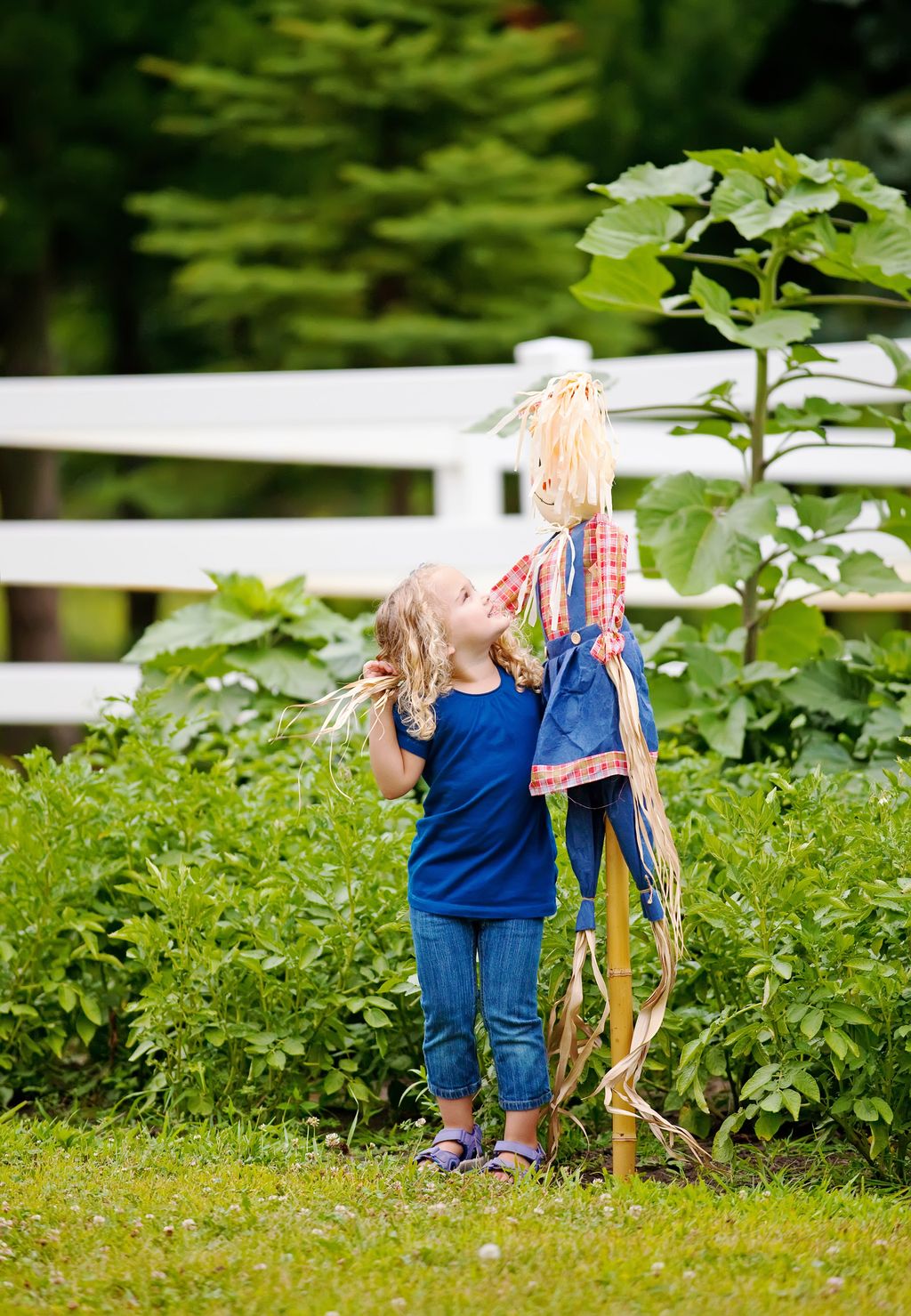 How to make a scarecrow: follow our simple guide for a fun garden ...