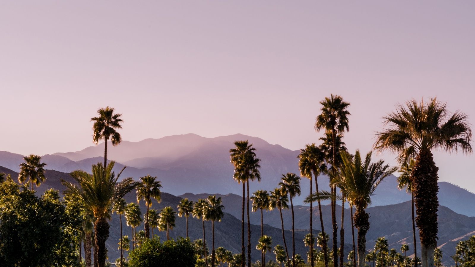 9 best things to do in Palm Springs for a memorable break | Woman & Home