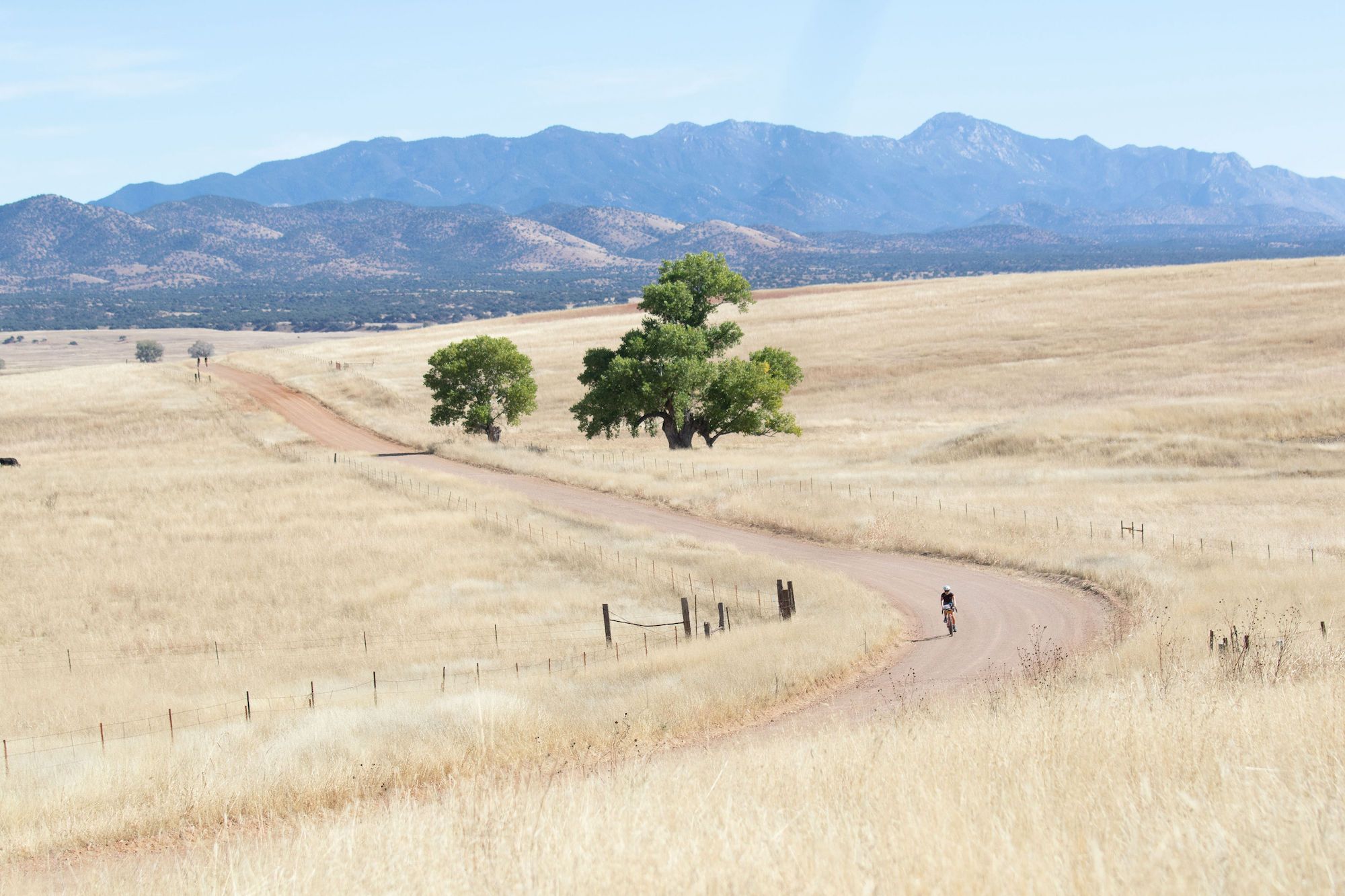 Yuri's hidden gravel gems: Patagonia's mine and wine country | Cycling ...