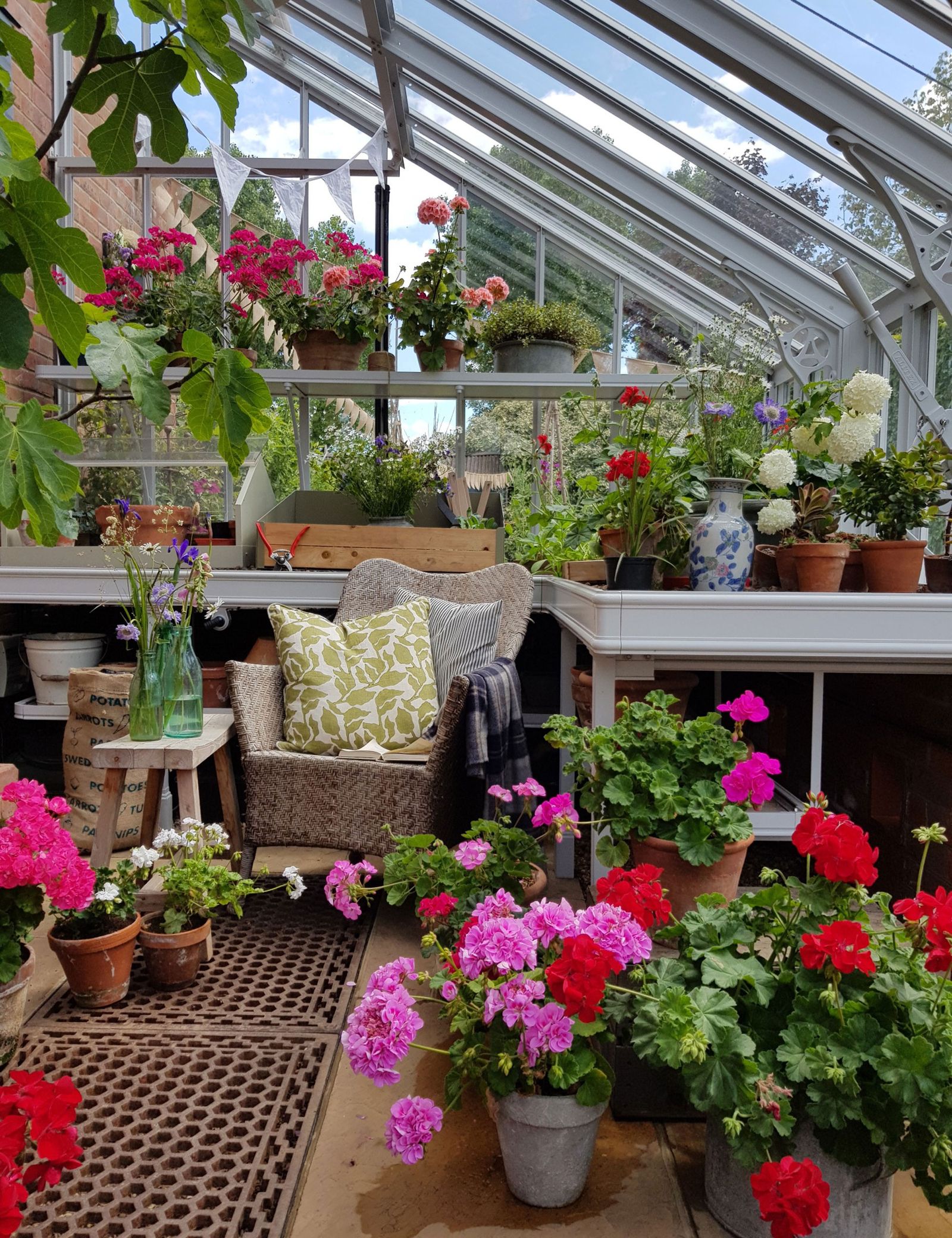 How to organize a greenhouse in 7 easy steps | Gardeningetc