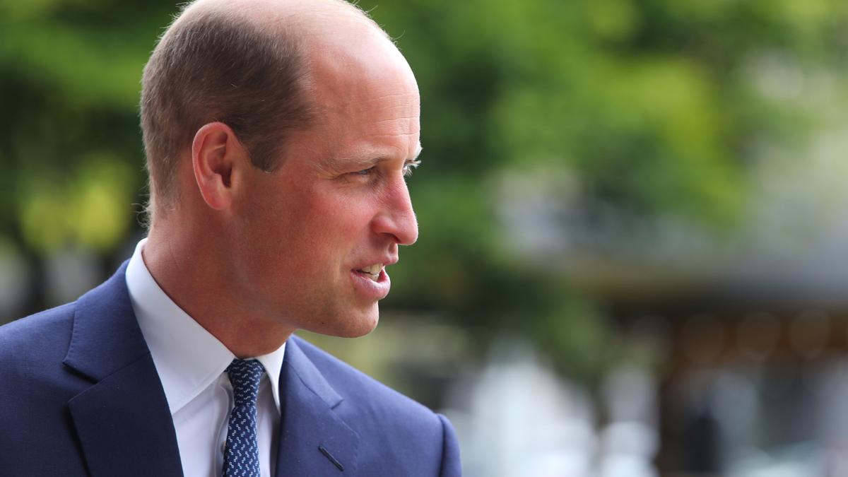 Prince William discusses his facial scar during engagement | Marie ...