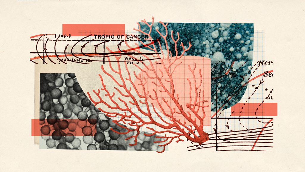 11 looming climate tipping points that imperil our planet | The Week