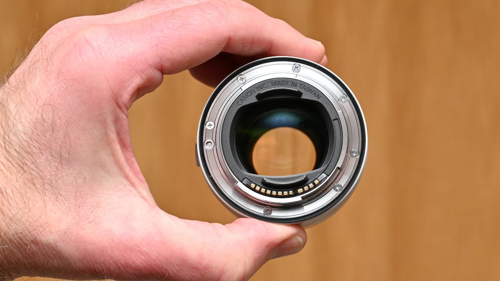 Canon Extender RF 2x review: double your telephoto reach and close-up ...