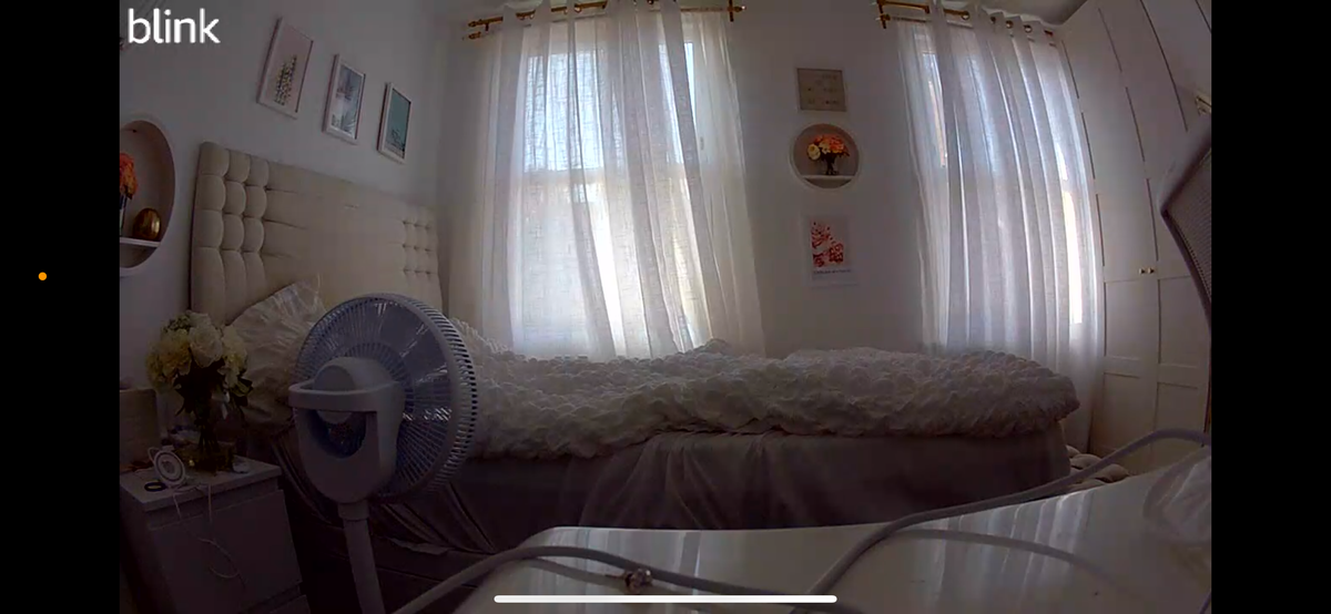 Blink Mini 2 review – is this gateway camera right for you? | Digital ...