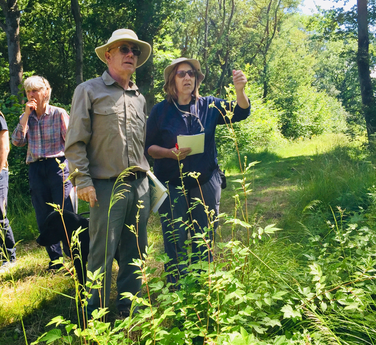 Everything you need to know about the U3A – the interest-led ...