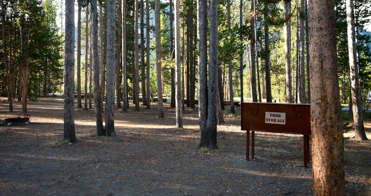 What is frontcountry camping? | Advnture