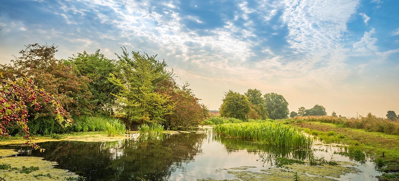 The Fens: In celebration of the magic of a landscape that’s fascinated ...
